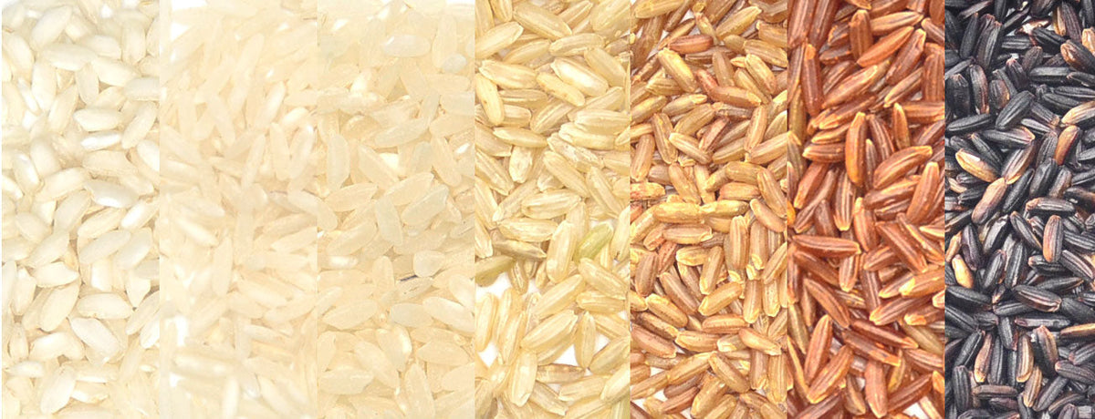 Le tipologie di chicco di riso: caratteristiche e utilizzi – laBalocchina